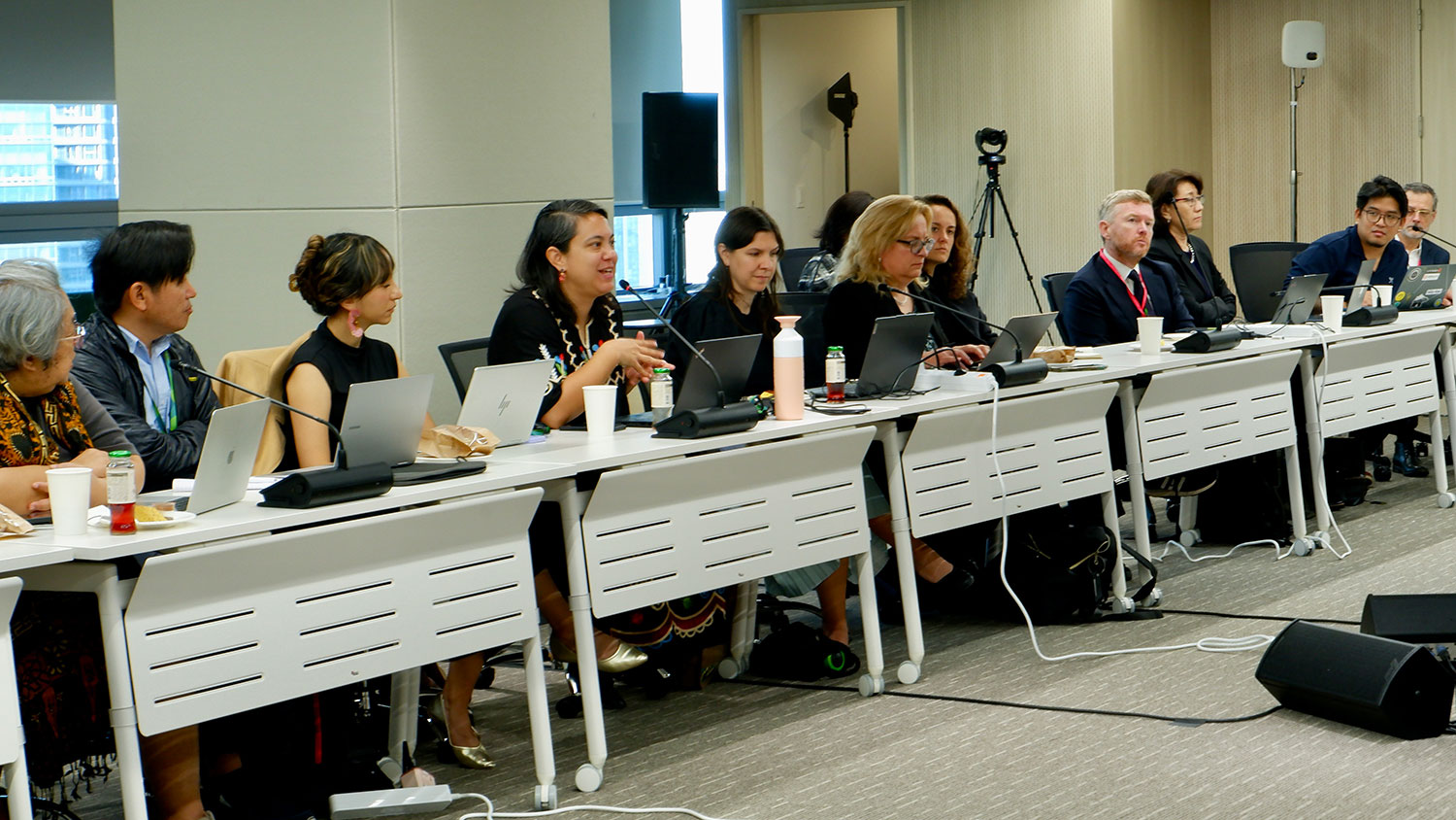 Interview: embedding gender in the multilateral climate funds ...