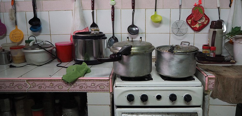 Farming the future: Cuba's food transformation | International ...