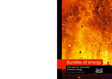 Bundles of energy: the case for renewable biomass energy | IIED ...
