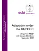 Adaptation under the UNFCCC | IIED Publications Library