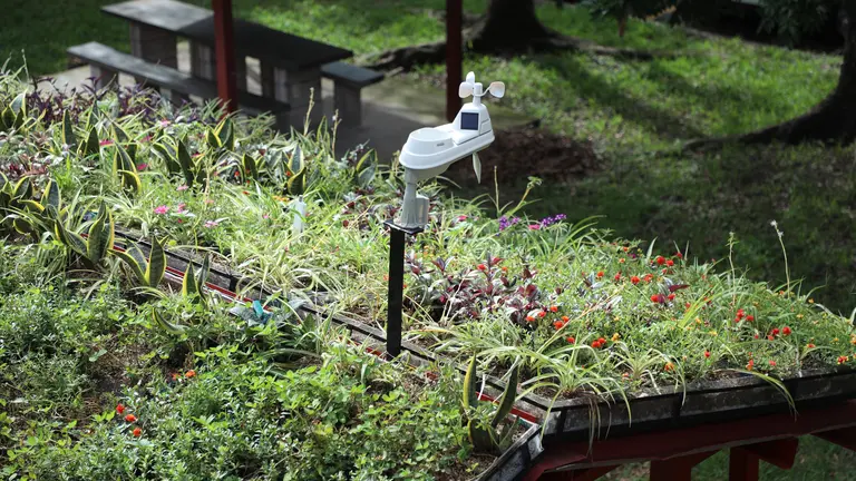 Green infrastructure for heat reduction in San Salvador | International ...