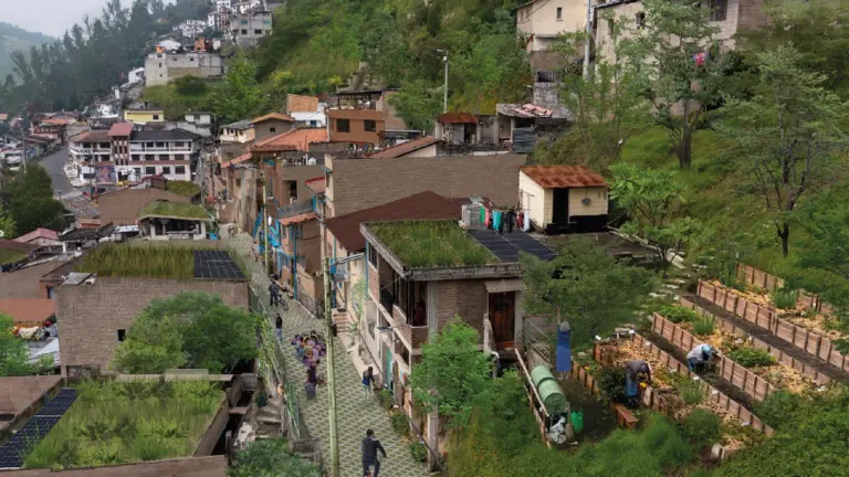Quito: sustainable transformation in Guápulo – nurturing nature in the ...