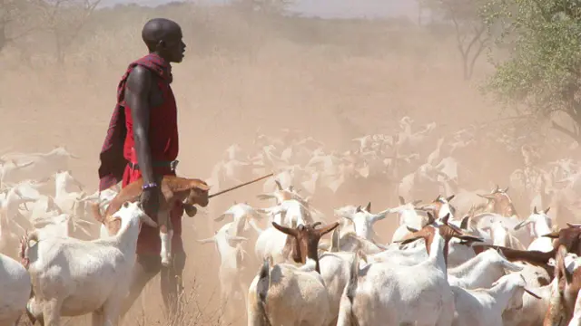 Pastoralism in Development: a learning journey – free Massive Open ...